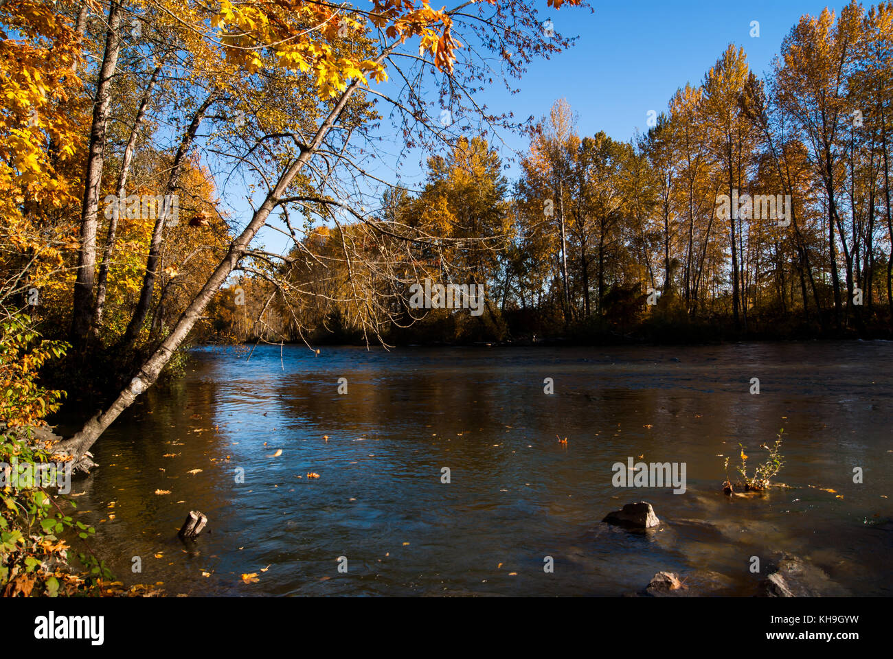 Cowichan river park hi-res stock photography and images - Alamy