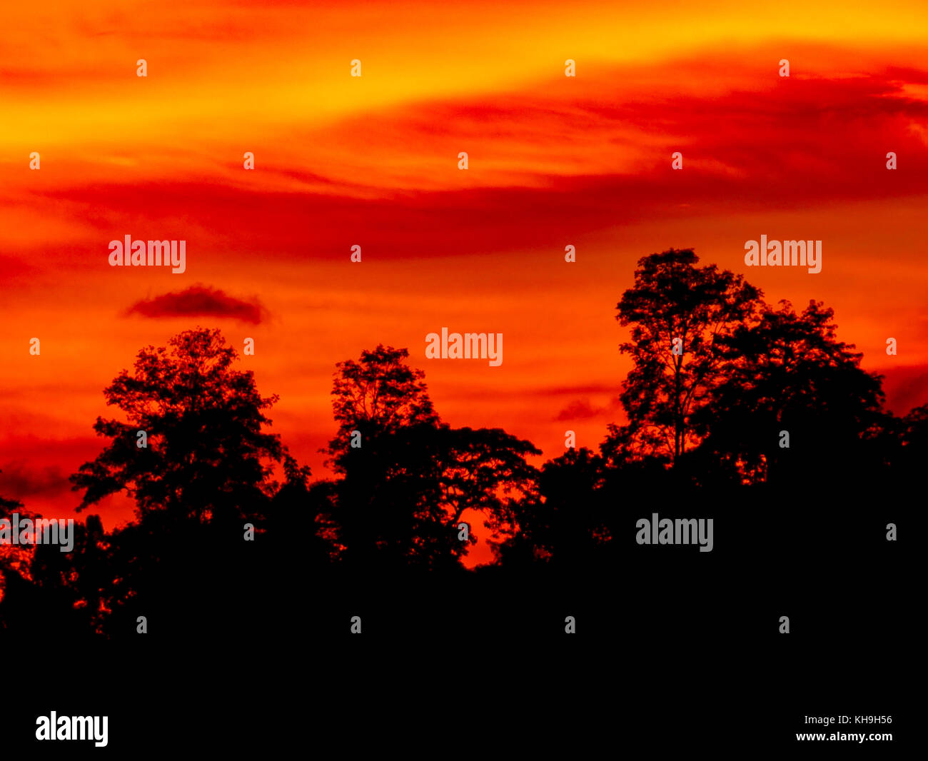 Twilight beautiful evening cloudy sky after sunset background . There ...