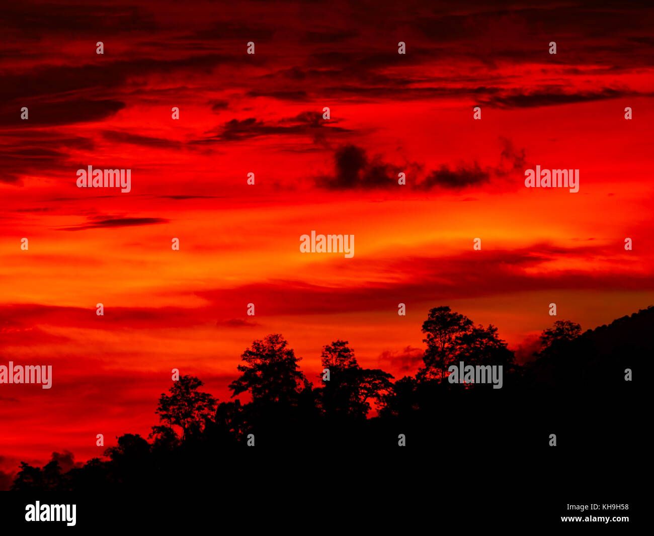Twilight beautiful evening cloudy sky after sunset background . There ...