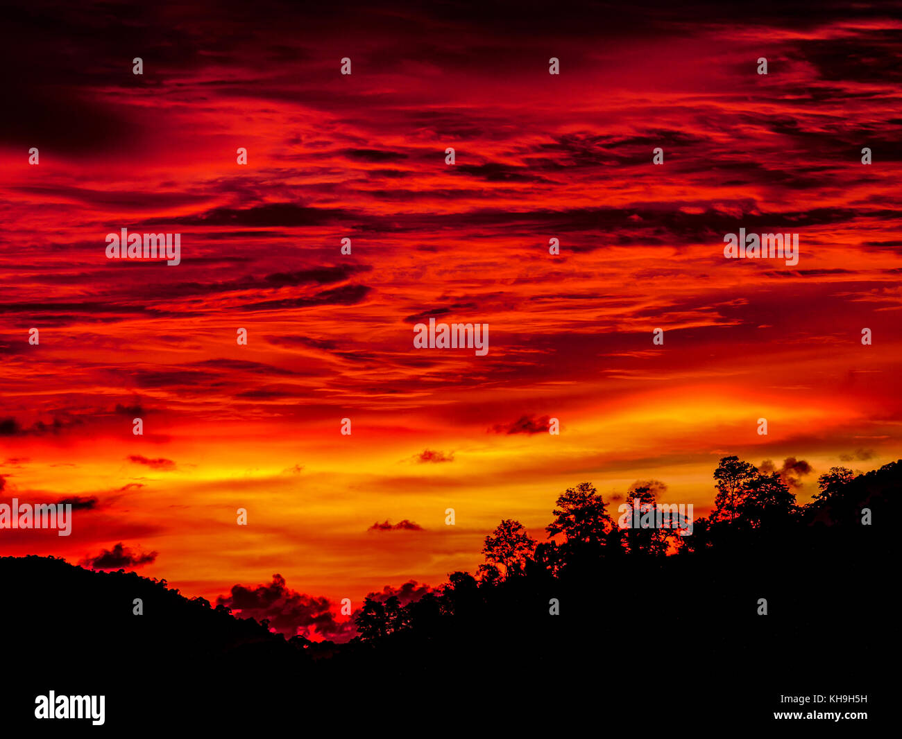 Twilight beautiful evening cloudy sky after sunset background . There ...