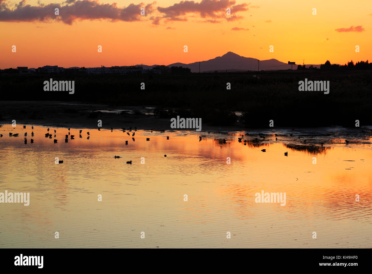 Oroklini hi-res stock photography and images - Alamy