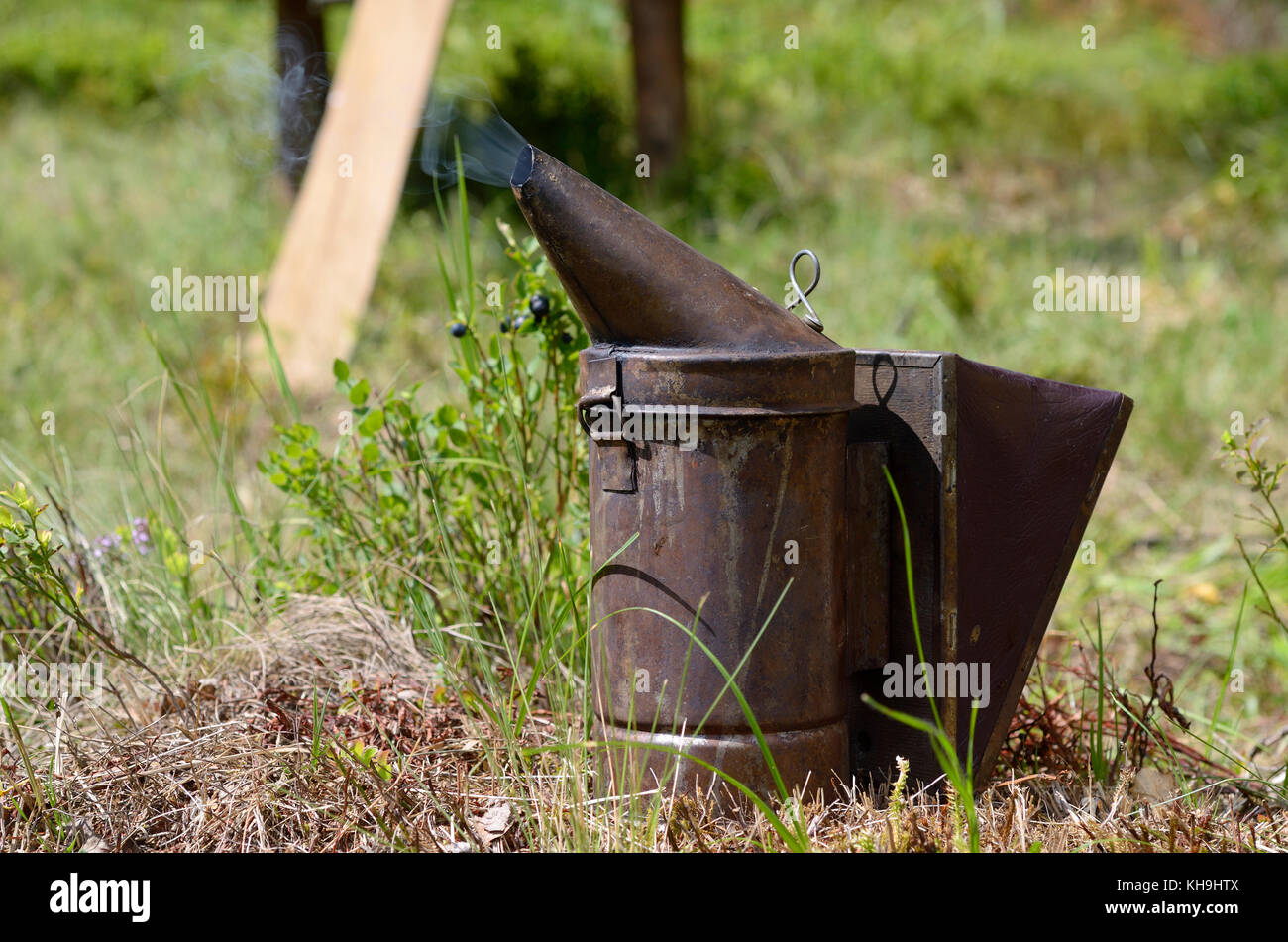 Old bee smoker. Beekeeping tool. Apiary Beekeeping Stock Photo - Alamy