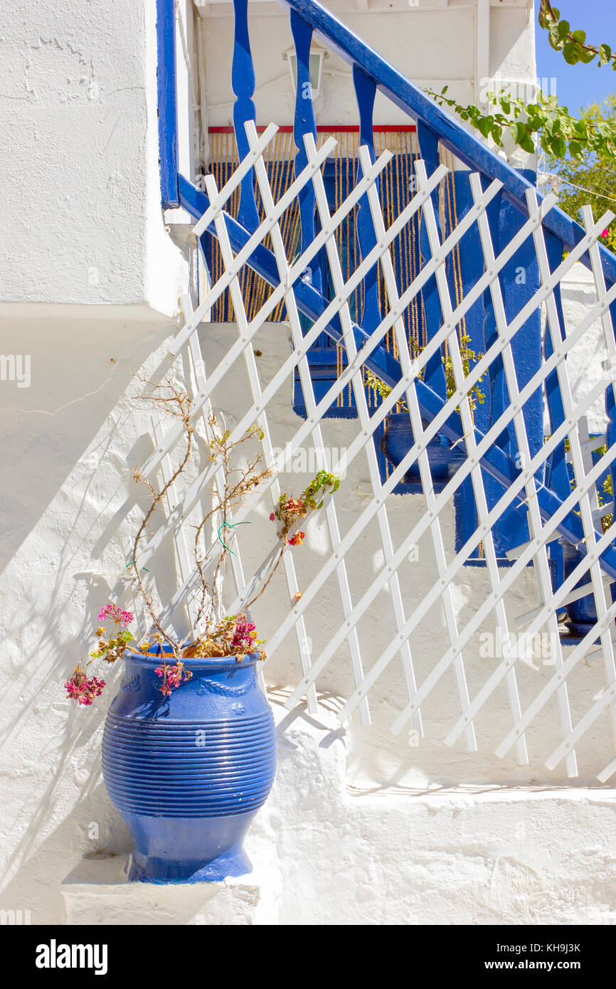 blue pot with flowers outside a traditional white house in mykonos ...