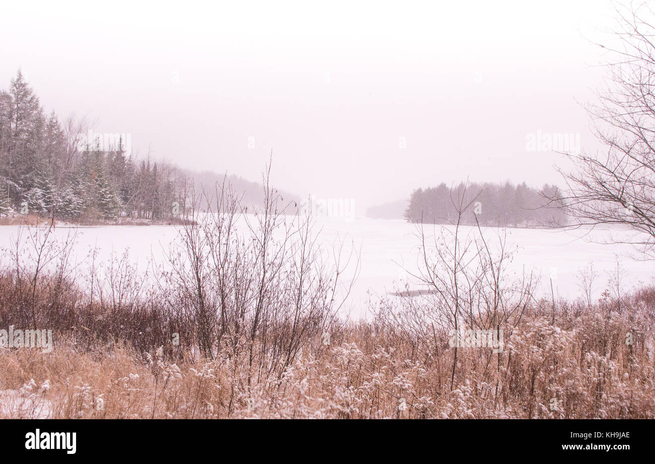 View on covered with ice and snow lake during snow storm Stock Photo ...
