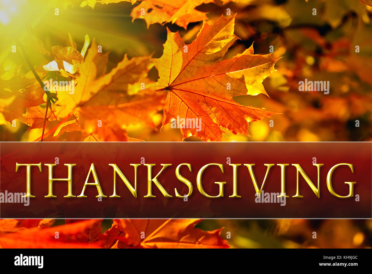 Happy thanksgiving day golden hi-res stock photography and images - Alamy