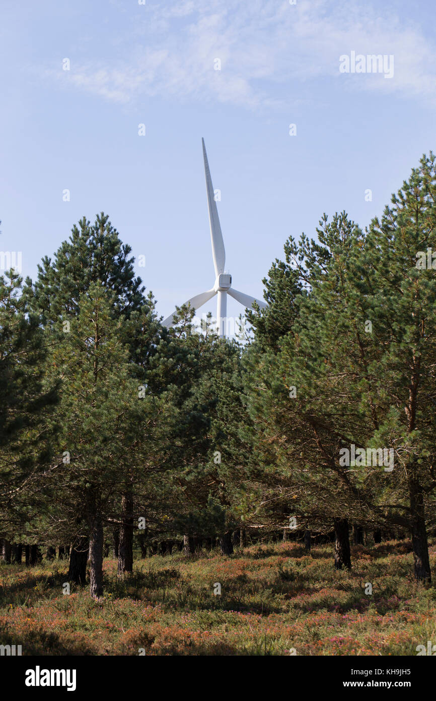 Windmill forest hi-res stock photography and images - Alamy