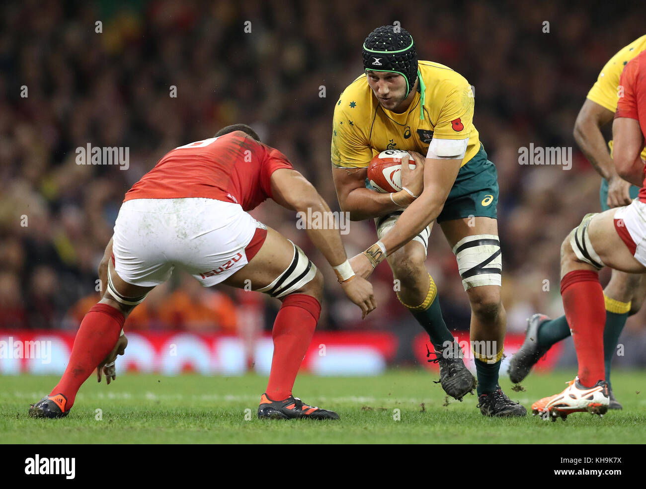Australia's Adam Coleman during the Autumn International at the ...