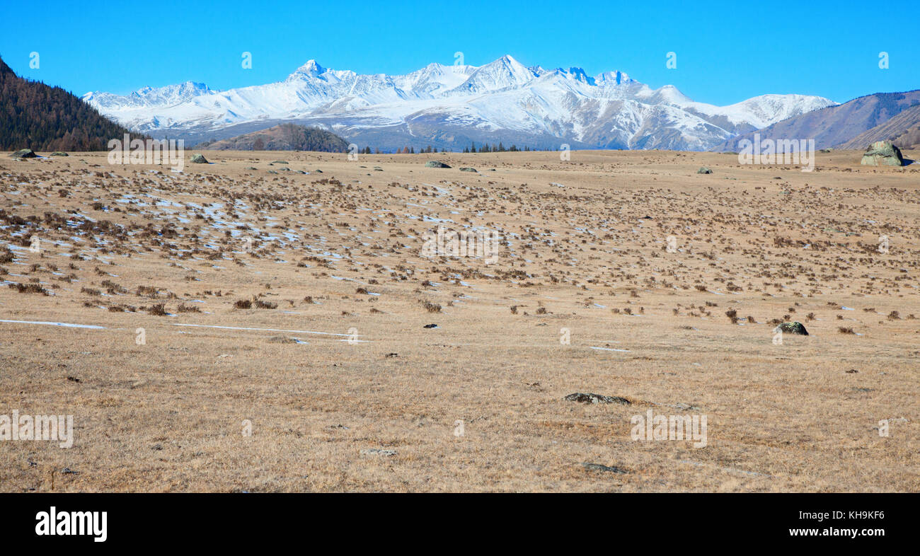 Alpine steppe in the background of snowy mountains Stock Photo - Alamy