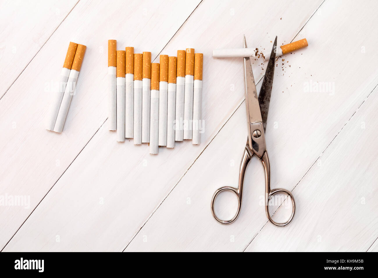 Cutting cigarettes by scissors. Anti smoking or quit smoking concept ...