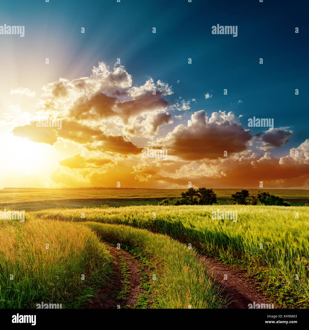 Dawn over dirt road hi-res stock photography and images - Alamy