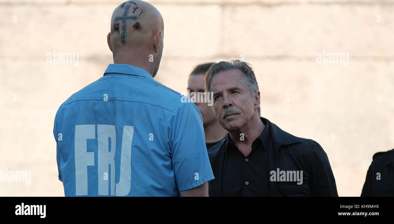 Brawl in cell block 99 2017 hi-res stock photography and images - Alamy