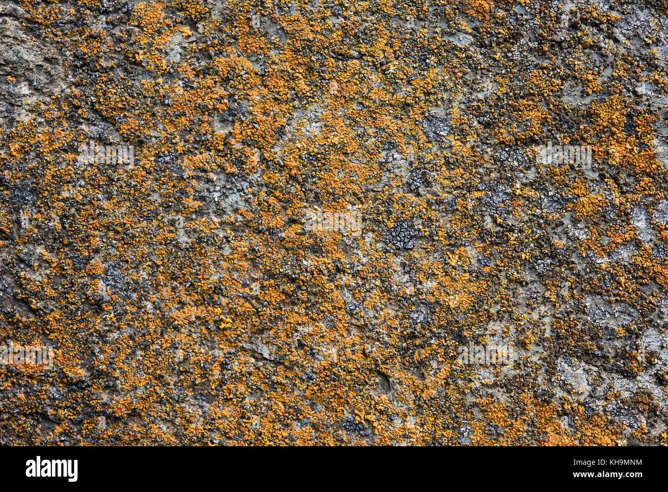 Stone forms for background and texture Stock Photo - Alamy