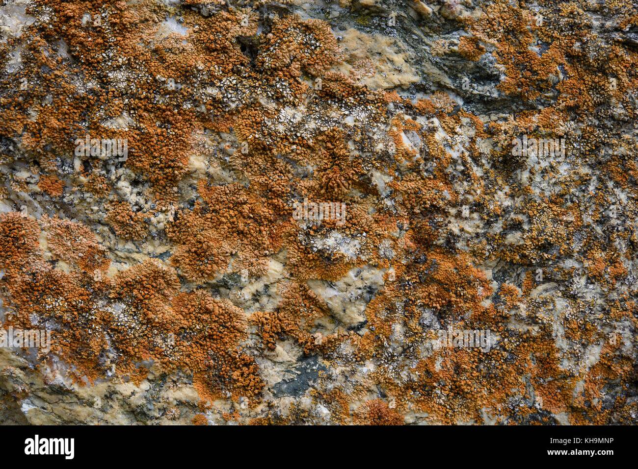 Stone forms for background and texture Stock Photo - Alamy