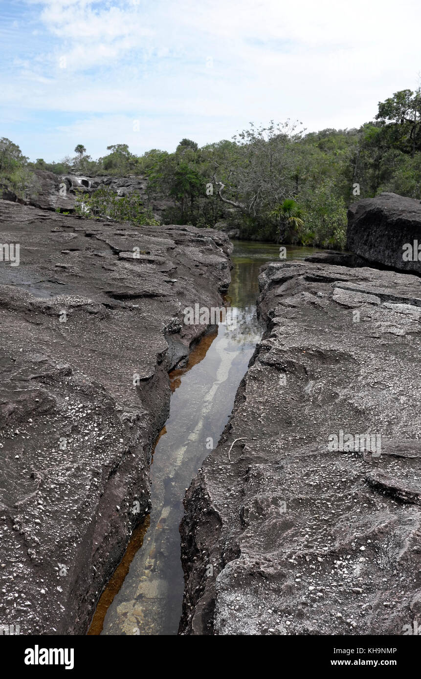 narrow channel in the many threads the form Cano Cristales Stock Photo ...