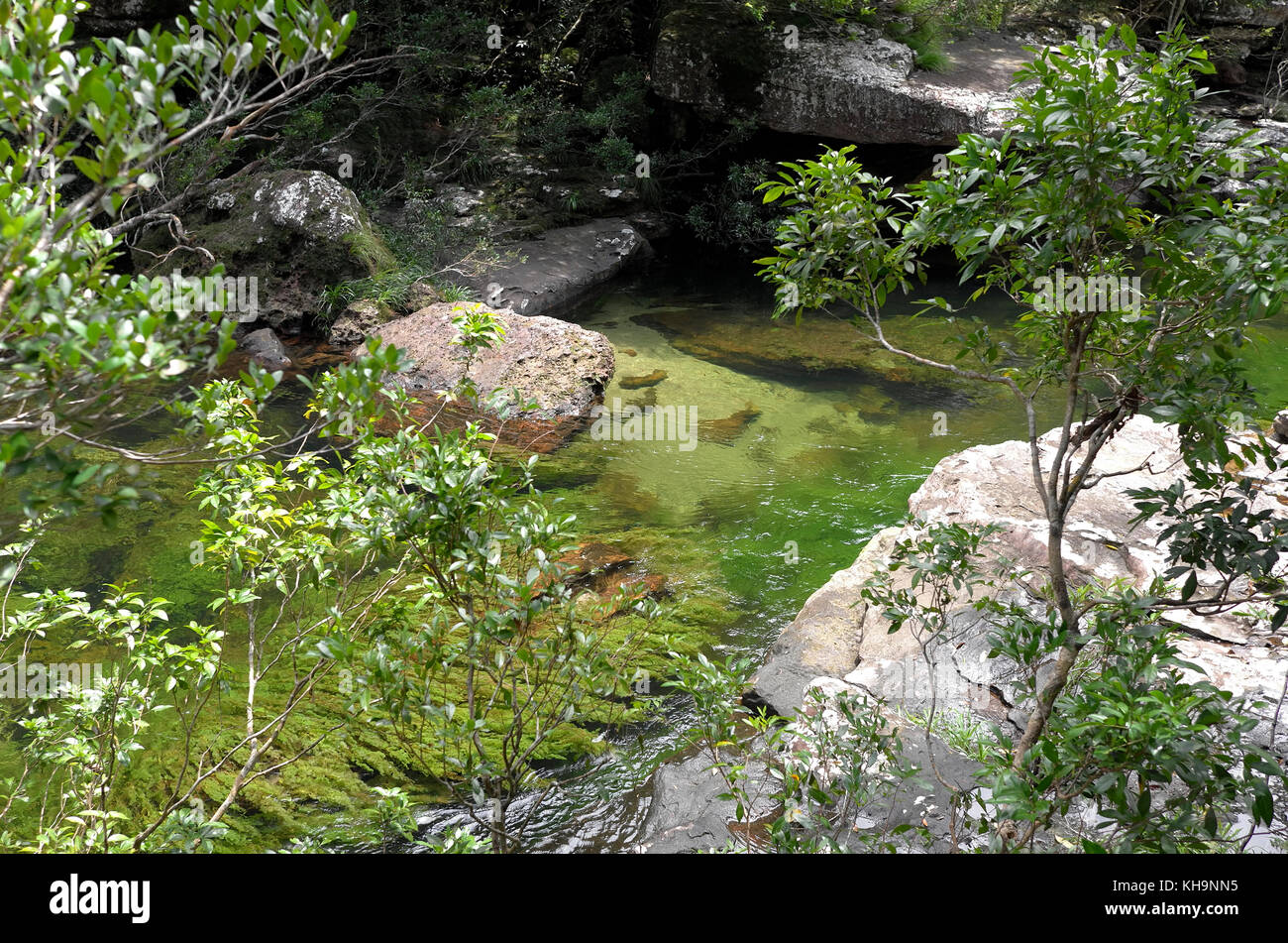 Pailones river in Serrania de la Macarena National Park Stock Photo - Alamy