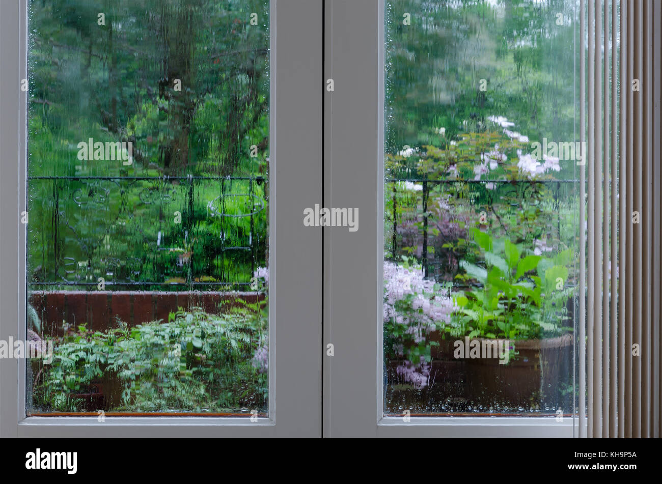 distorted view of early spring flowers and plants through window ...