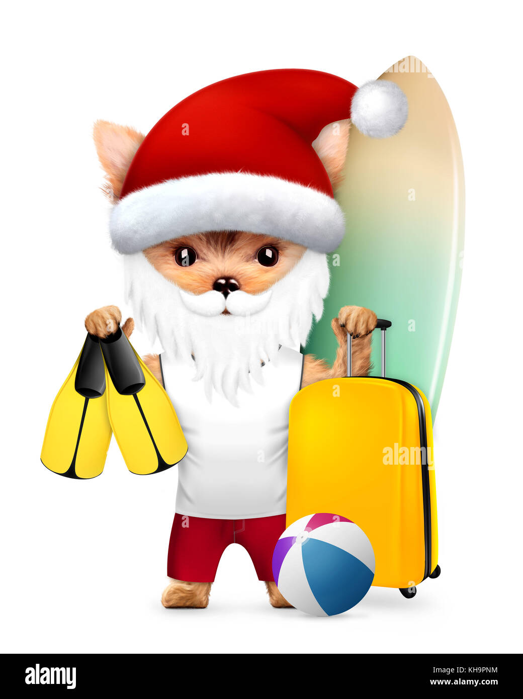Cute Dog Santa on a beach holidays Stock Photo - Alamy