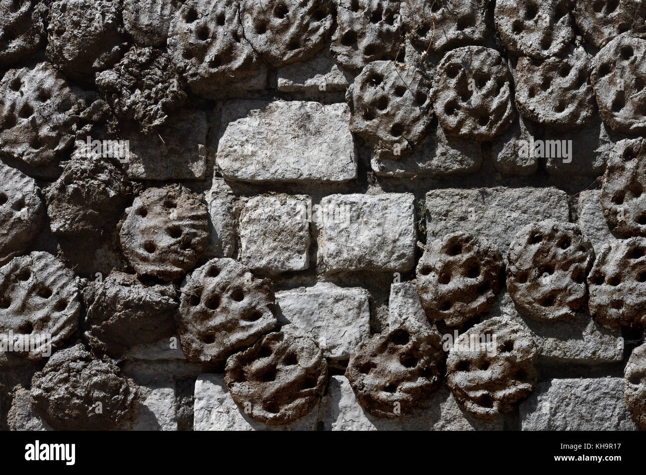 Stone wall made of massive gray bricks, with stuck cakes of manure of ...