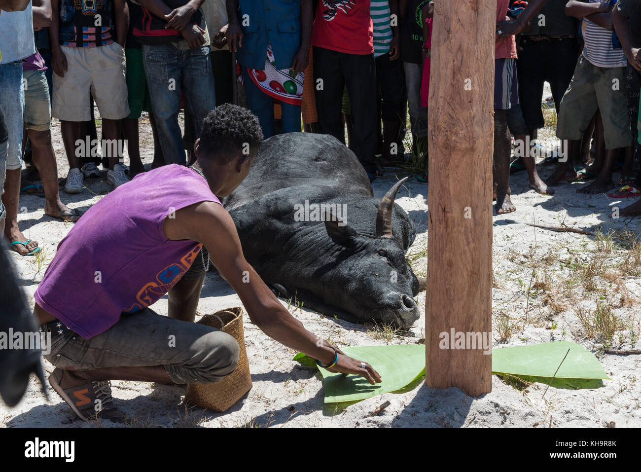 Sacrificial offering hi-res stock photography and images - Alamy