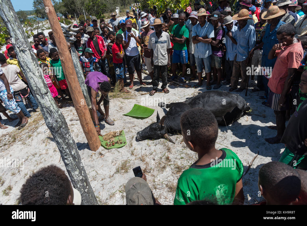 Sacrificial offering hi-res stock photography and images - Alamy