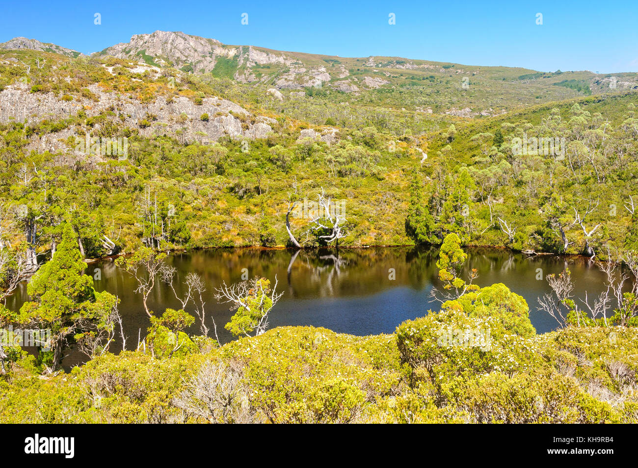 Wombat Pool is an easily accessible gem of the Cradle Mountain-Lake St ...