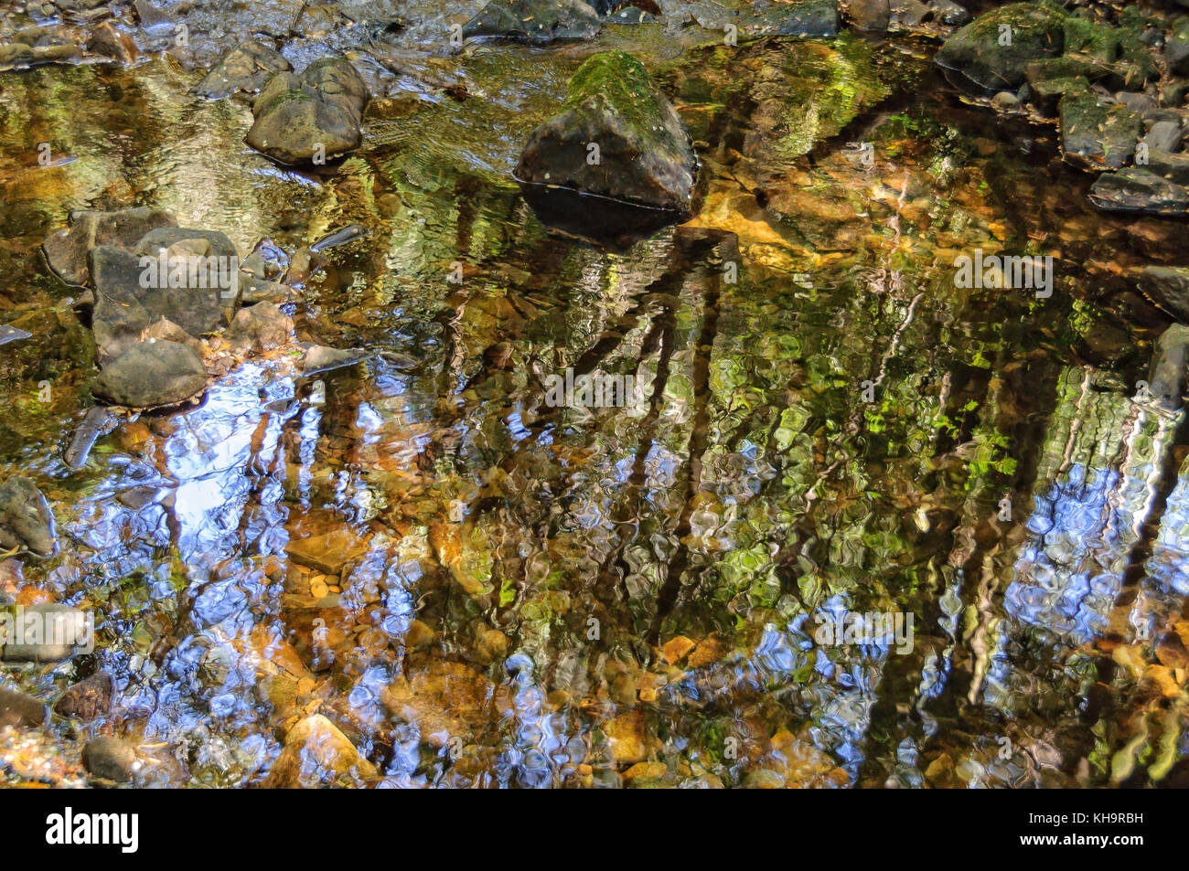 Reflection in the Nelson River - West Coast Region, Tasmania, Australia ...