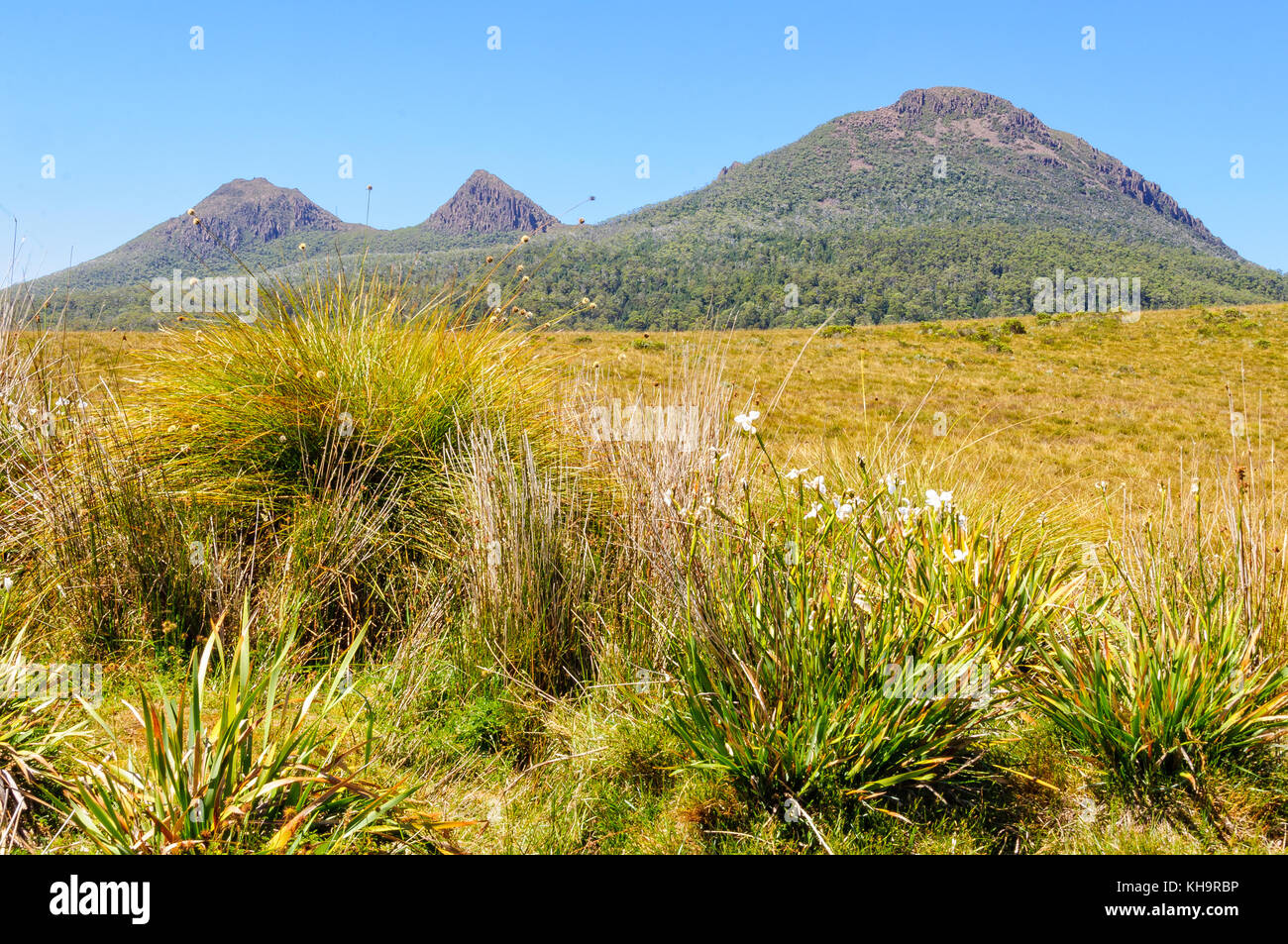 King range hi-res stock photography and images - Alamy