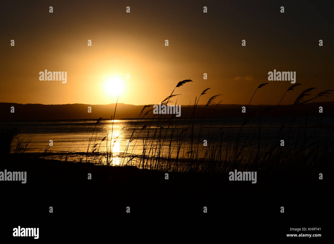 Tuggerah lake hi-res stock photography and images - Alamy