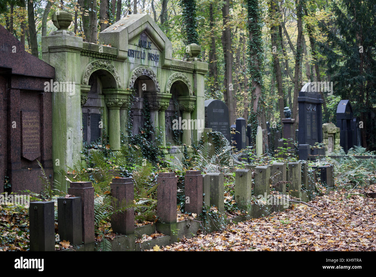 Weißensee Jewish cemetery in Berlin, Germany Stock Photo - Alamy