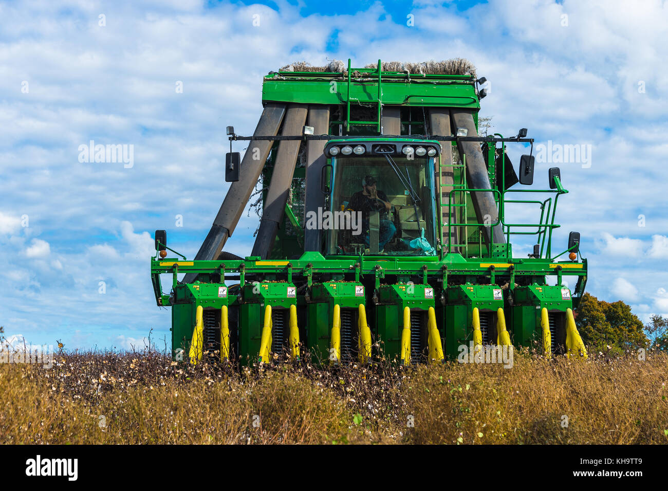 Skippers, Greensville County, Virginia,USA -November 2nd 2017; "Spindle ...