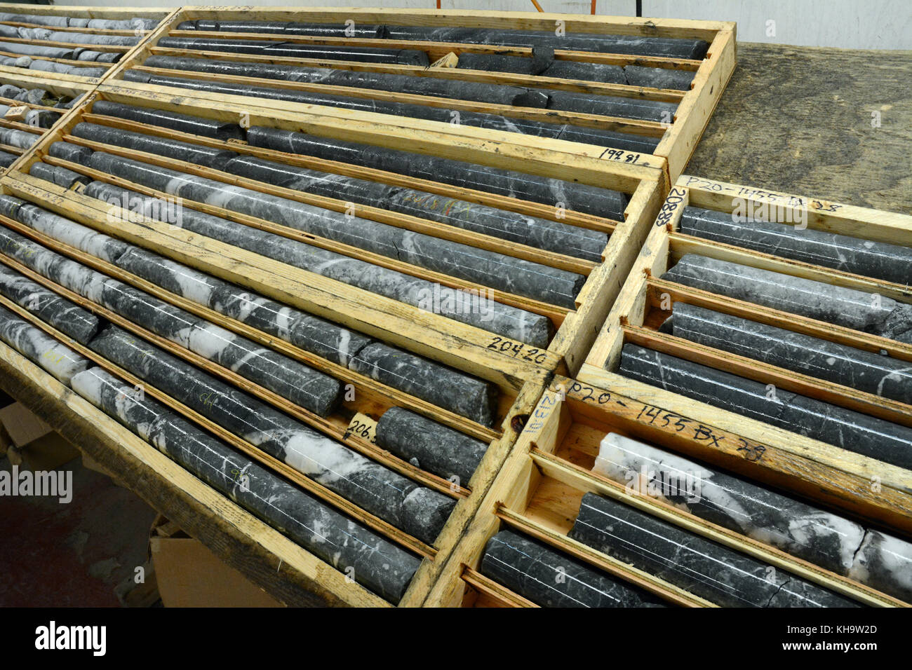 Rock core samples taken by a mining exploration company prospecting for ...