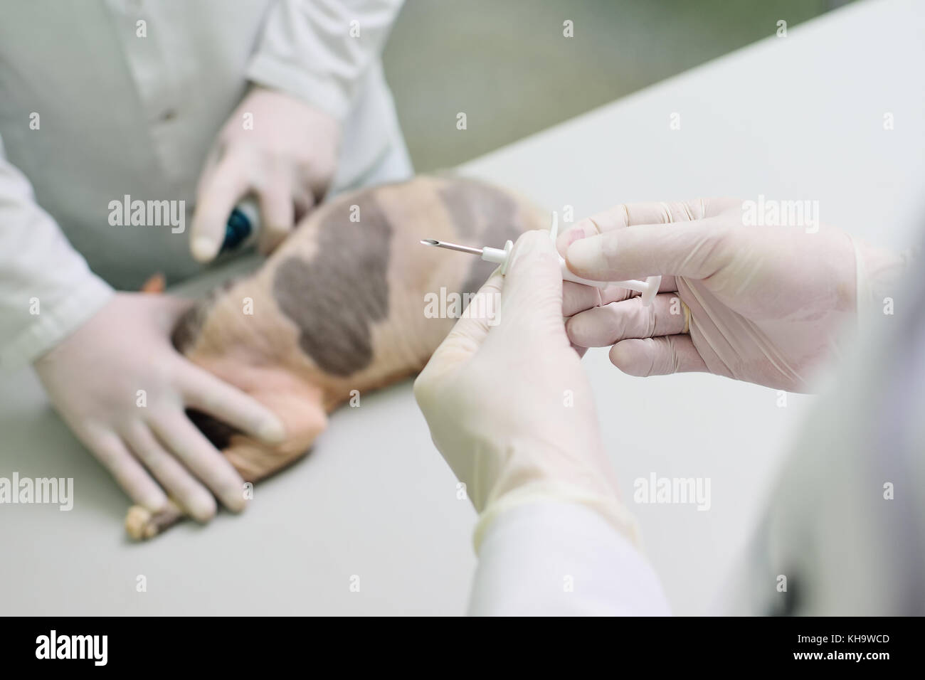 Rfid chip background hi-res stock photography and images - Alamy