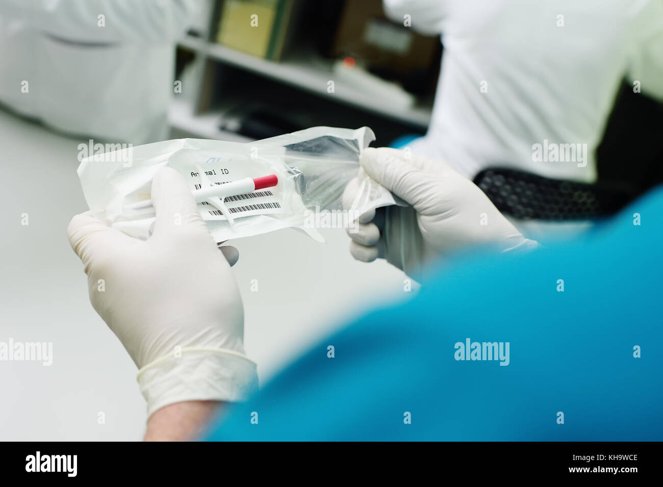 Microchip animal hi-res stock photography and images - Alamy