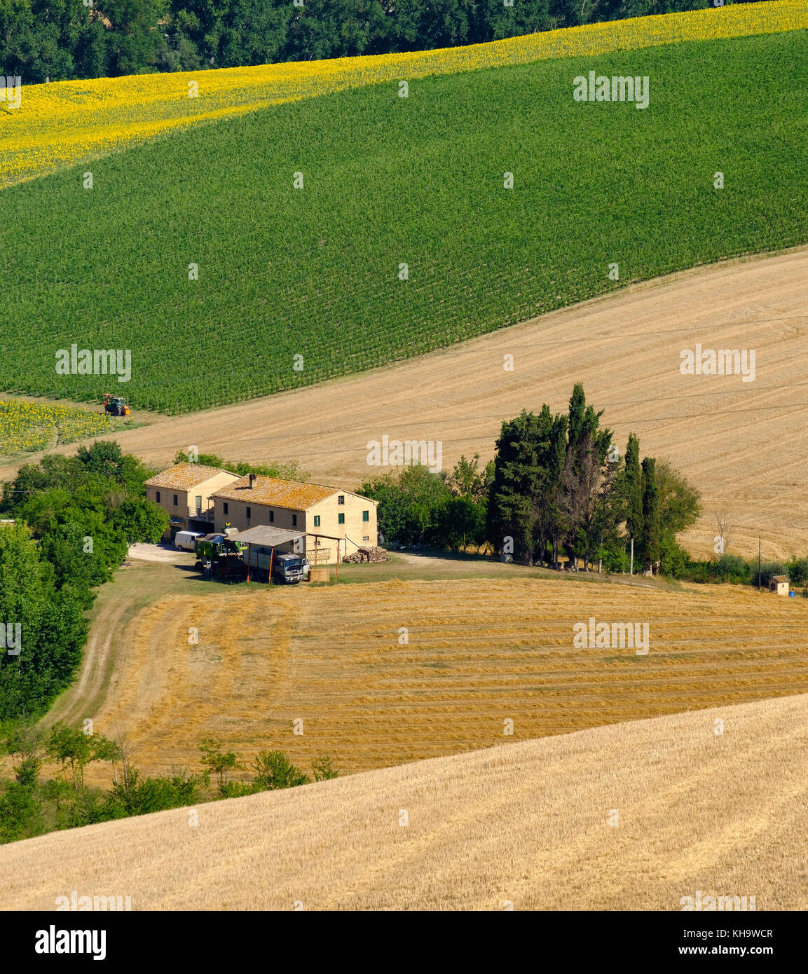Rural landscape along the road from Filottrano to Appignano (Ancona ...