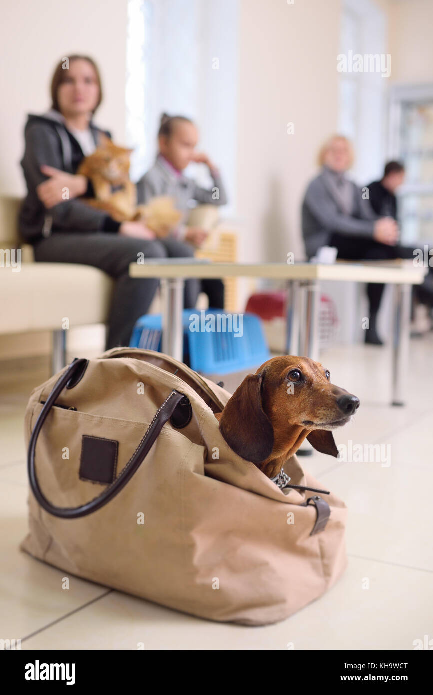 Doctor waiting queue hi-res stock photography and images - Alamy