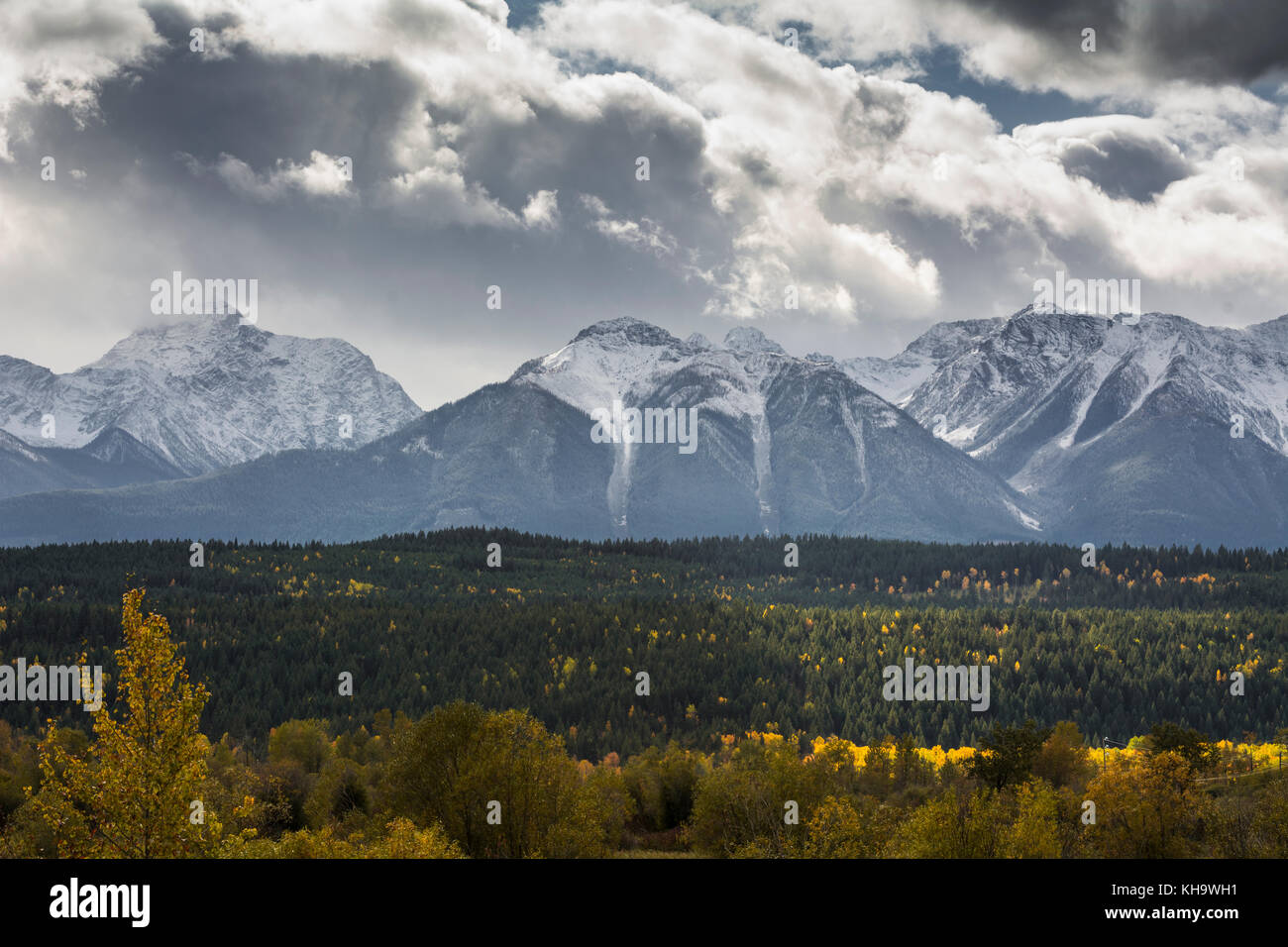 Autumn foliage and bright clouds over Columbia Mountains, British ...