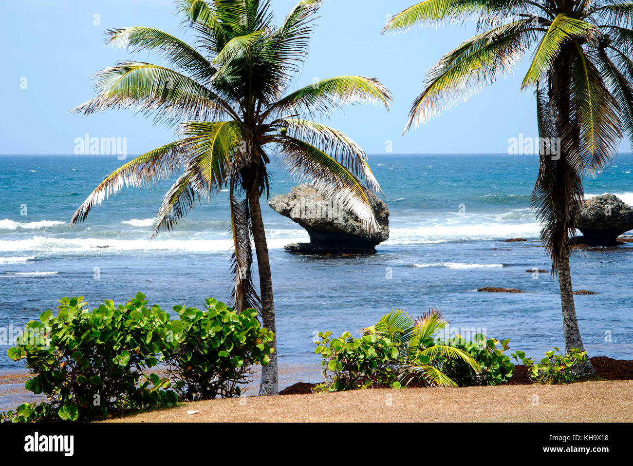 Bathsheba Beach; Bathsheba; ST. Joseph; Barbados Stock Photo - Alamy