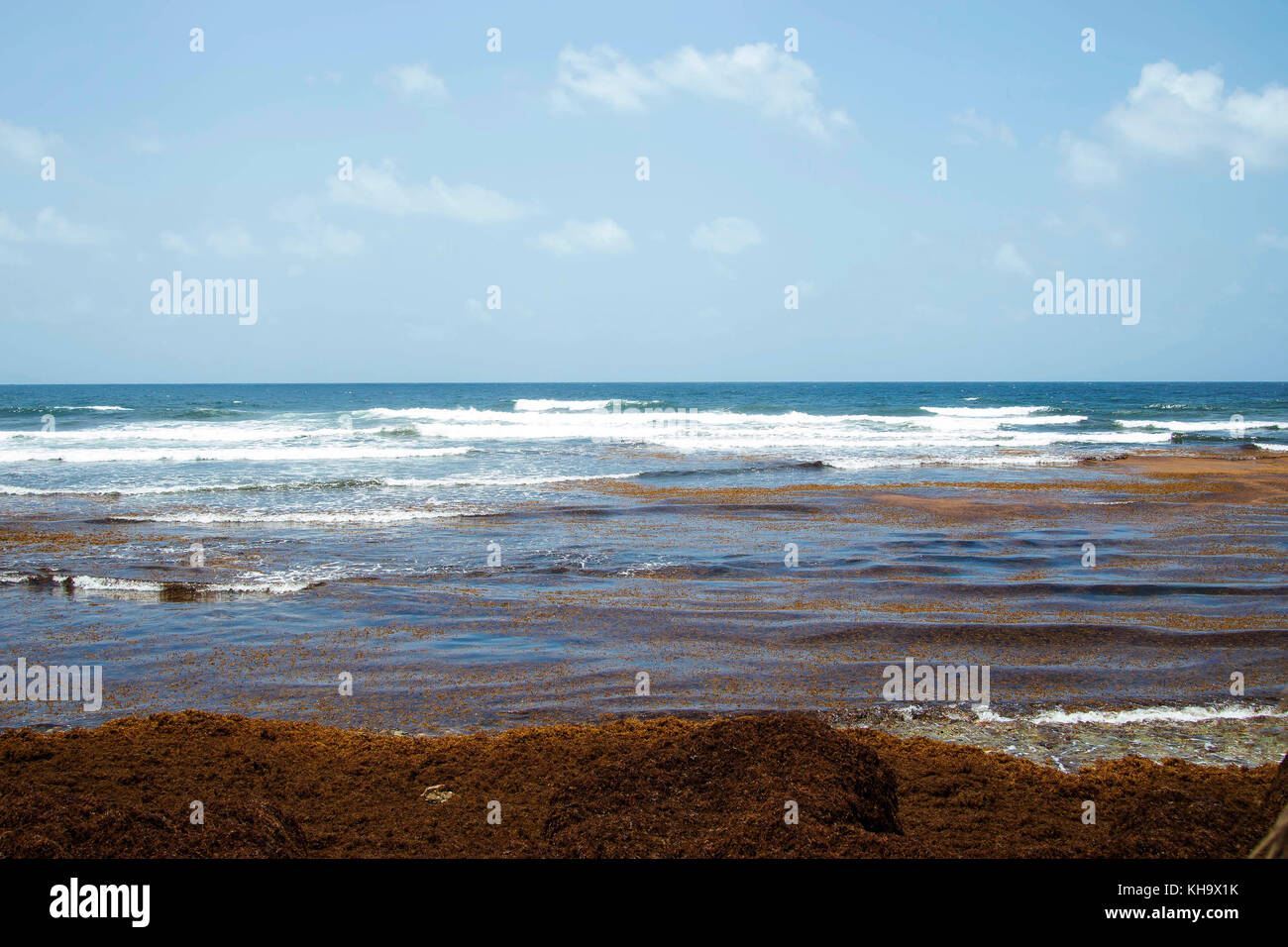 Bathsheba Beach; Bathsheba; ST. Joseph; Barbados Stock Photo - Alamy