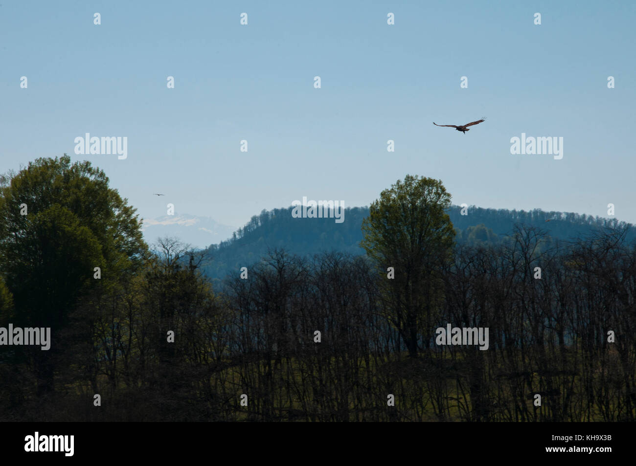 If you want to have nice view of the downtown of Los Angeles free, you ...