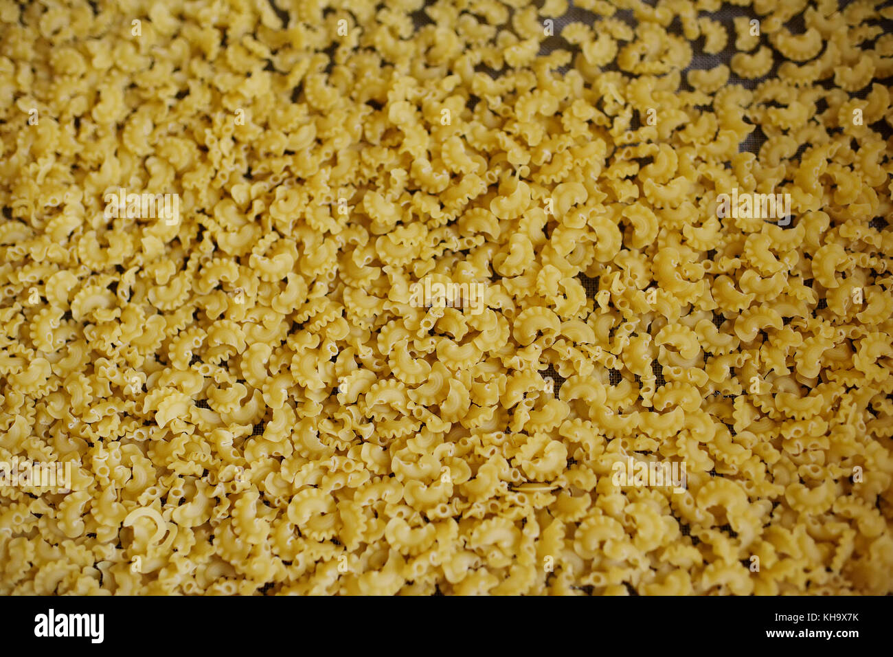 background or texture of pasta Stock Photo - Alamy