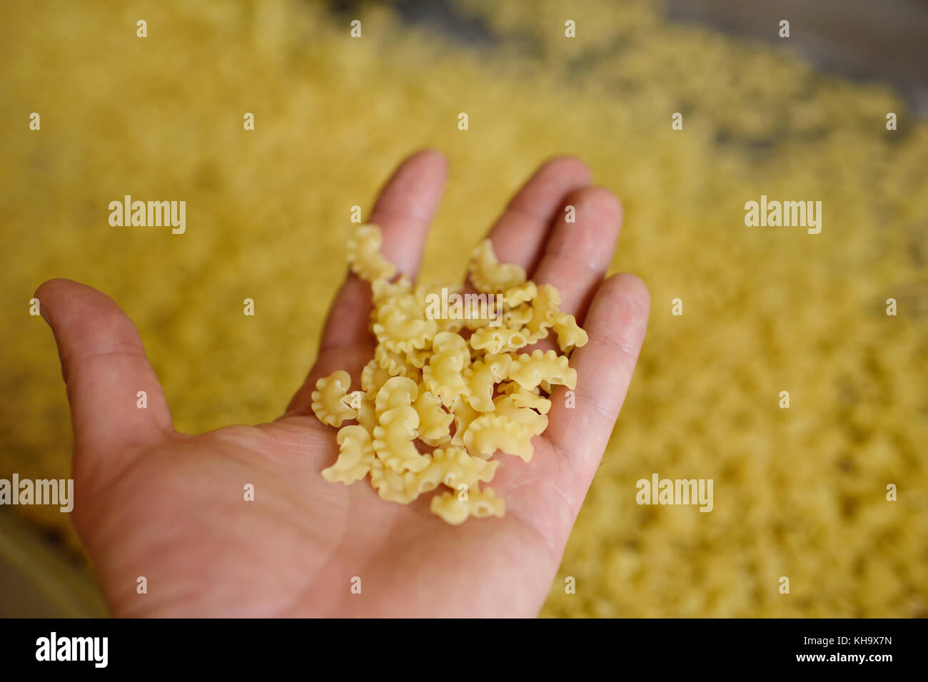 Pasta structure hi-res stock photography and images - Alamy