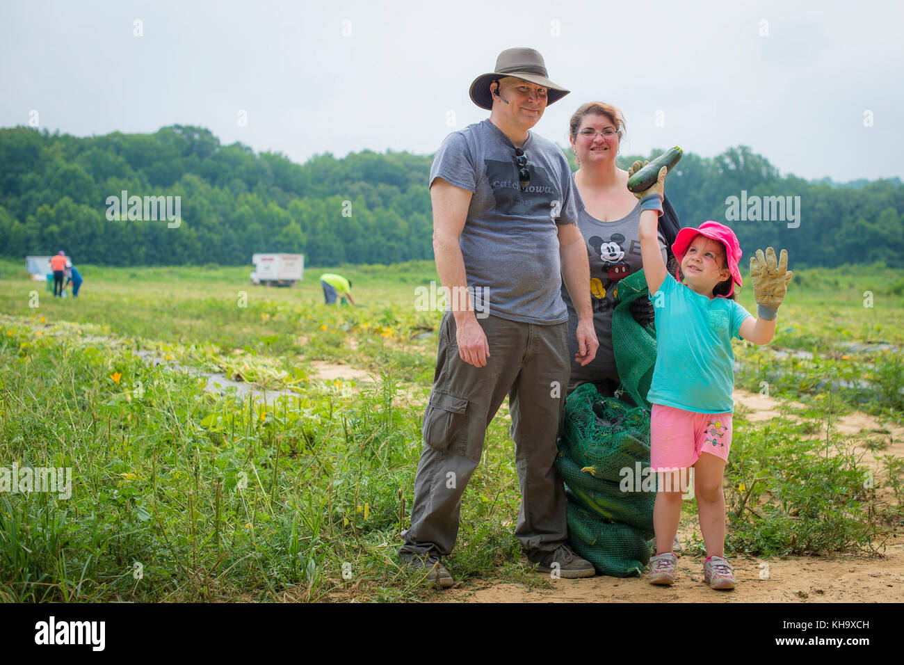 U pick tomatoes hi-res stock photography and images - Alamy