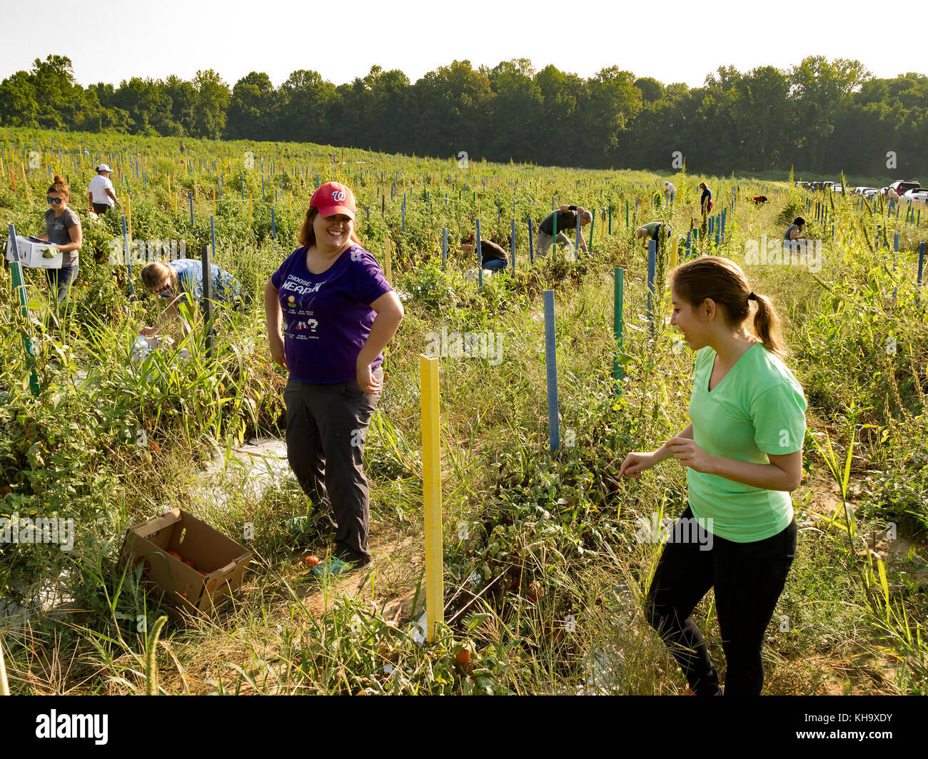 USDA Rural Development gave a boost to the 2017 Feds Feed Families by ...