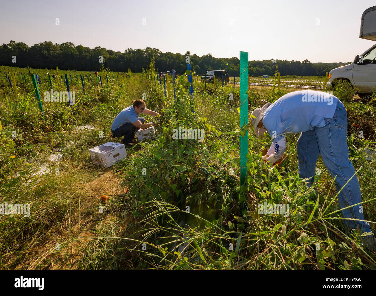 USDA Rural Development gave a boost to the 2017 Feds Feed Families by ...