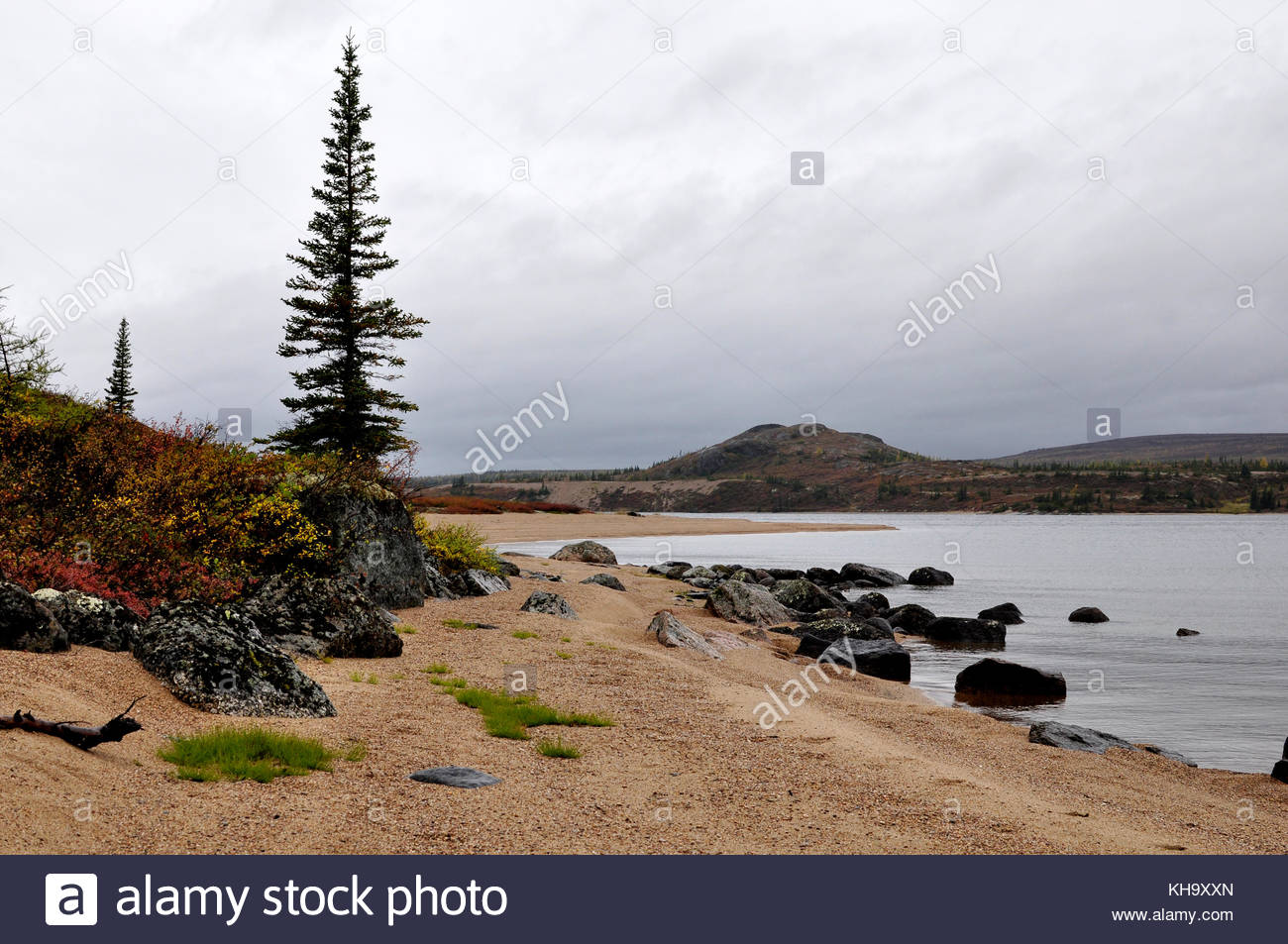 Tundra Tours Stock Photos & Tundra Tours Stock Images - Alamy