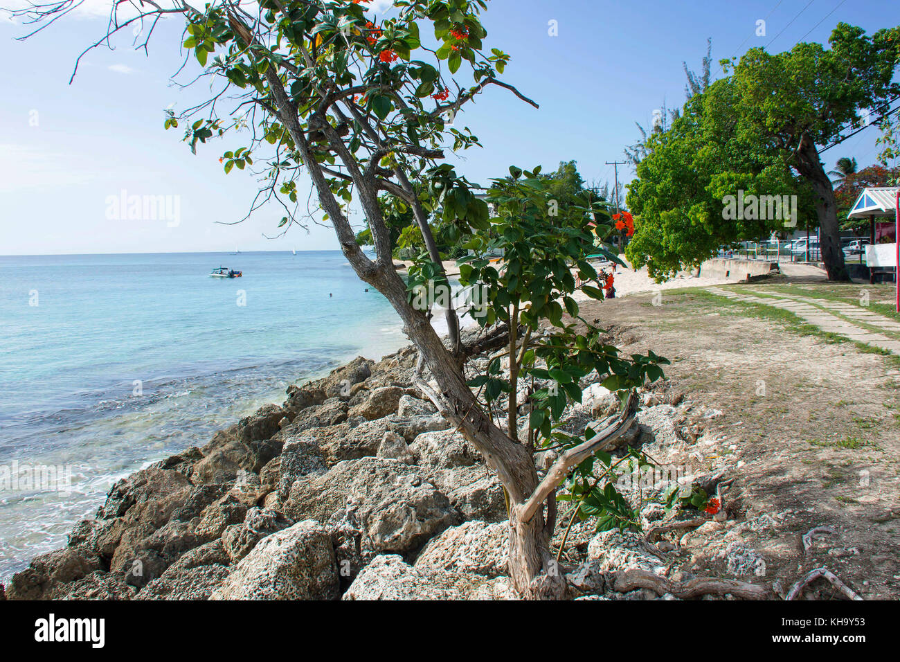 Paynes Bay Beach; Paynes Bay; St. James; Barbados Stock Photo - Alamy