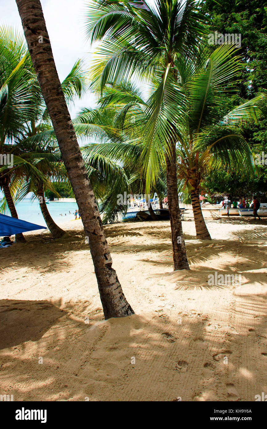 Paynes Bay Beach; Paynes Bay; St. James; Barbados Stock Photo - Alamy