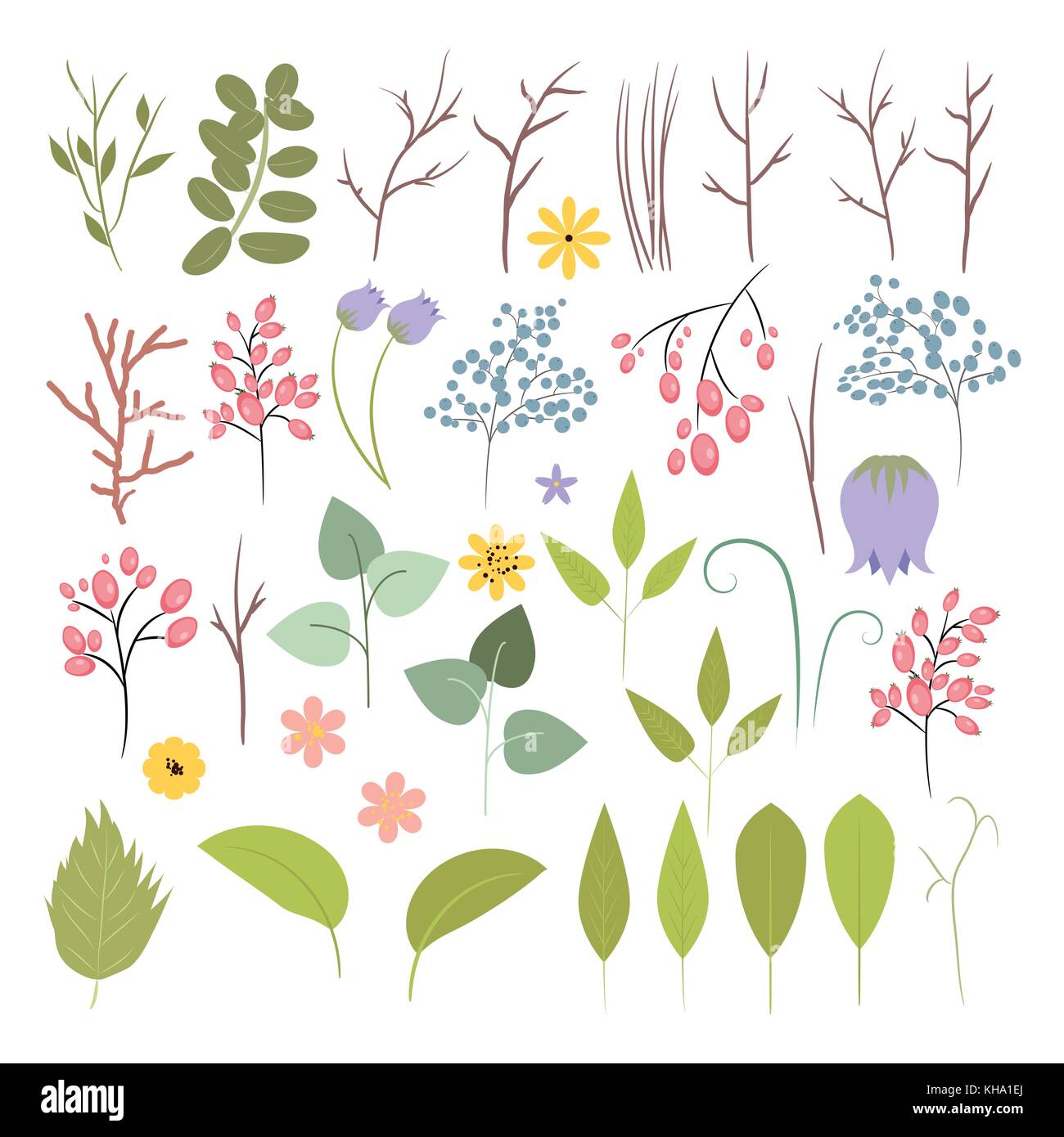 Vector set of plants, flowers and herbs Stock Vector Image & Art - Alamy
