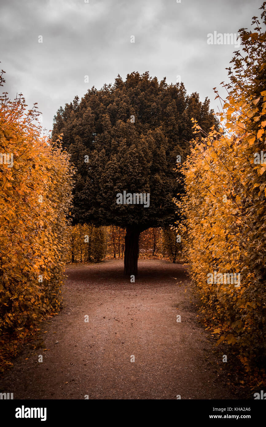 Hidden colors hi-res stock photography and images - Alamy