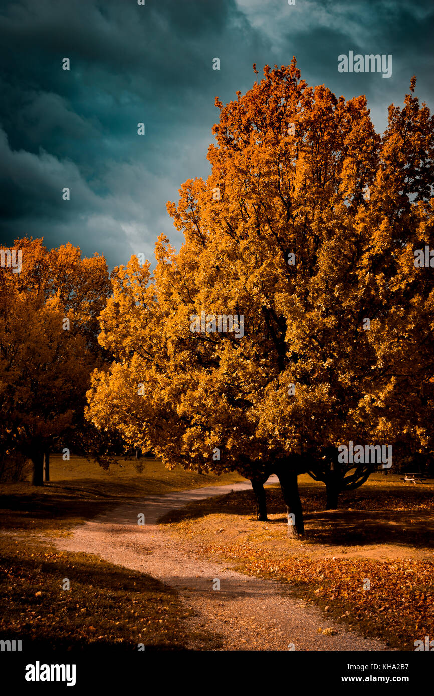 Love nature colors hi-res stock photography and images - Alamy
